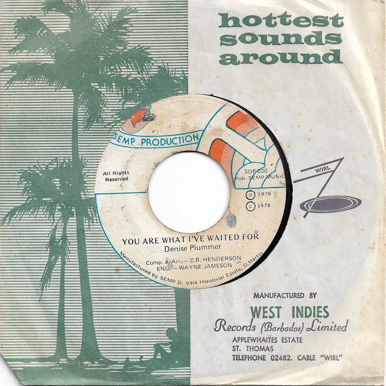 Denise Plummer - You Are What I've Waited For / Words – Invisible City ...